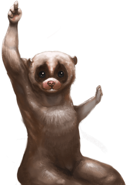Download Slow Loris Meme Character - Slow Loris Transparents - ClipartKey