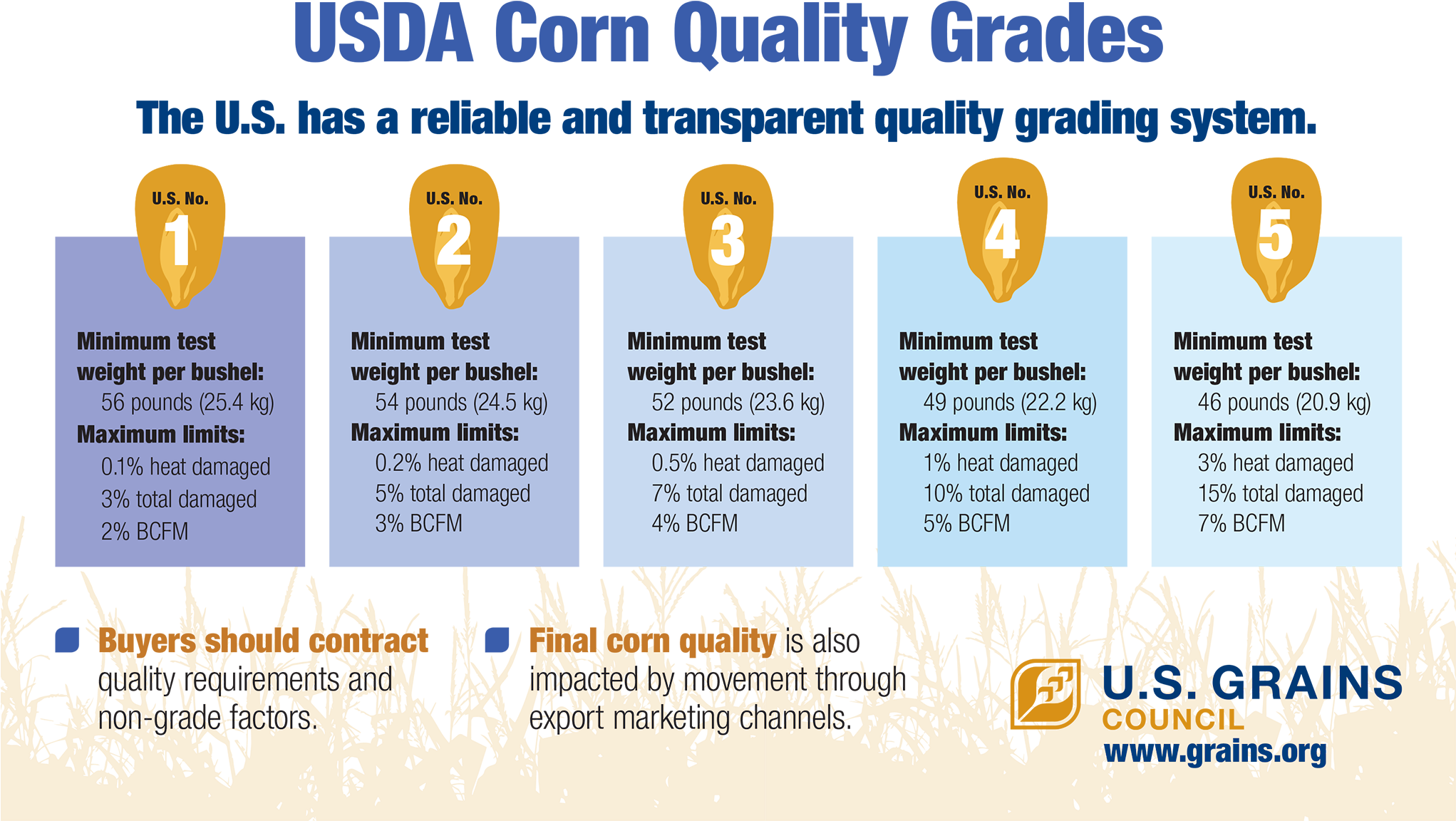 Download Usda Corn Grading - Usda Corn Quality Grades - ClipartKey