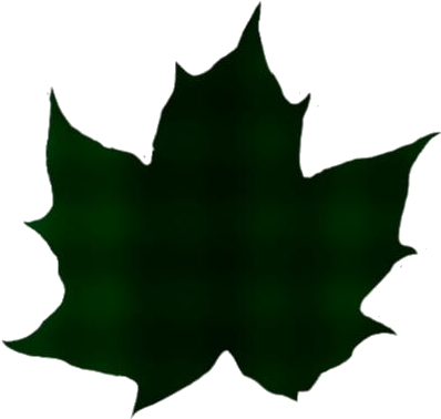 Download Transparent Cute Maple Leaf Vector - Brown Leaf Clipart ...