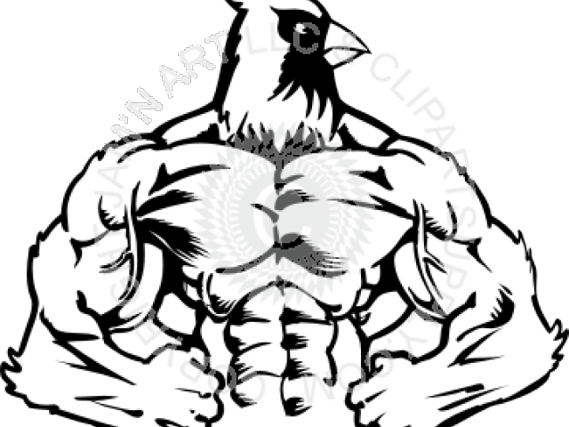 Download Bird Clipart Muscular - Cardinal Black And White Logo - ClipartKey