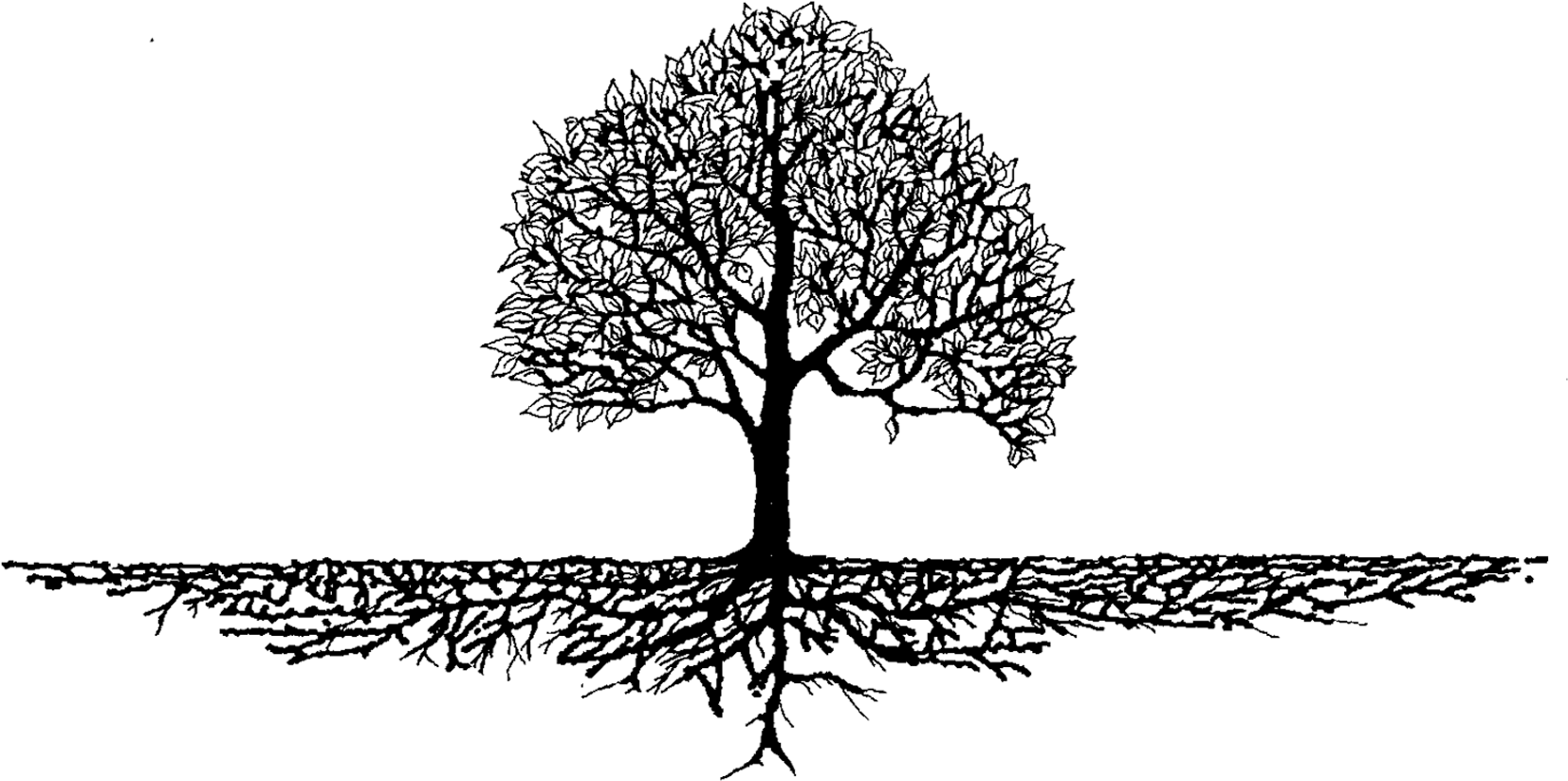 Download Root Cause Gif - ClipartKey