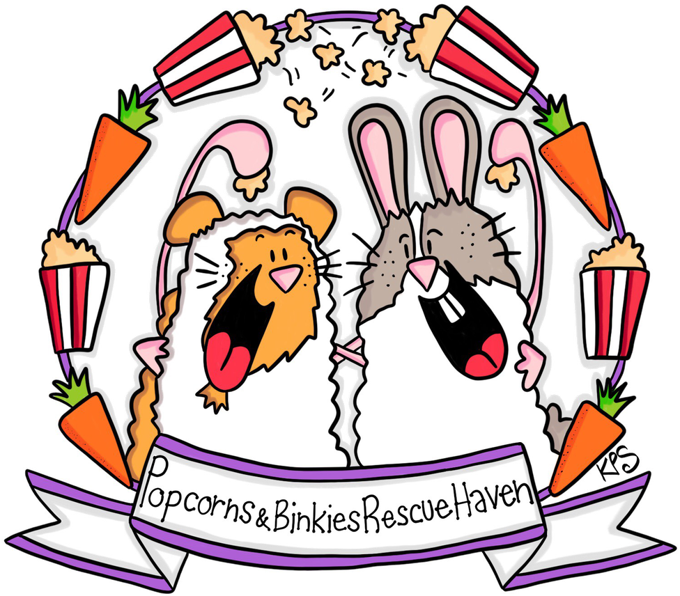 Download Img 1298 - ClipartKey