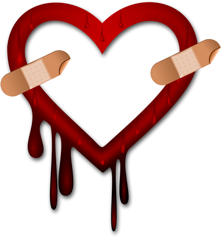 Download Heartbleed Bug Icon - ClipartKey