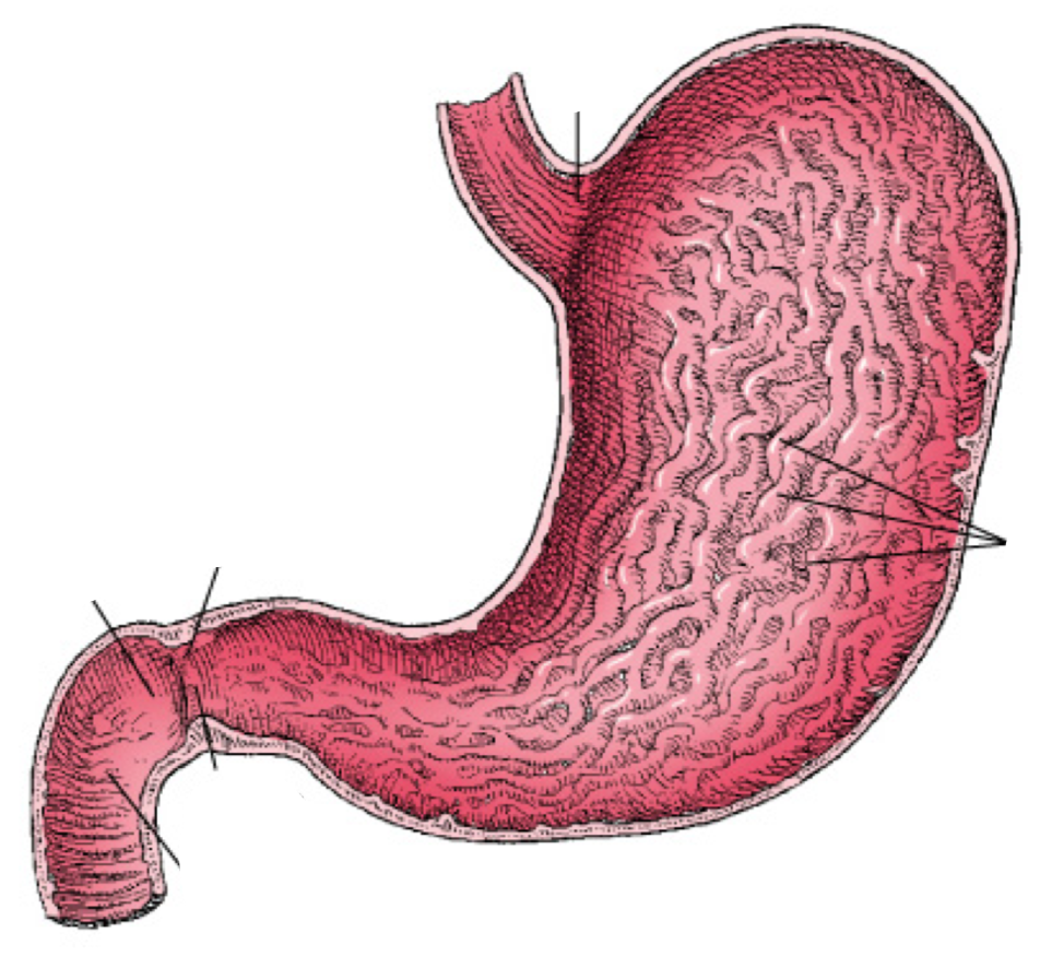 Download Illustration - ClipartKey