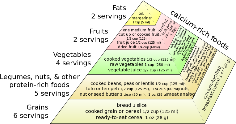 Download Costa Rica Food Pyramid - ClipartKey