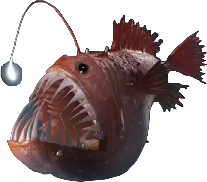 Download Angler Fish Png 8 » Png Image - Deep Sea Angler Fish ...