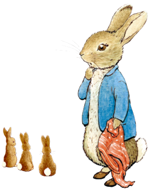 Download Transparent Peter Rabbit Clipart - Peter Rabbit Illustrations ...