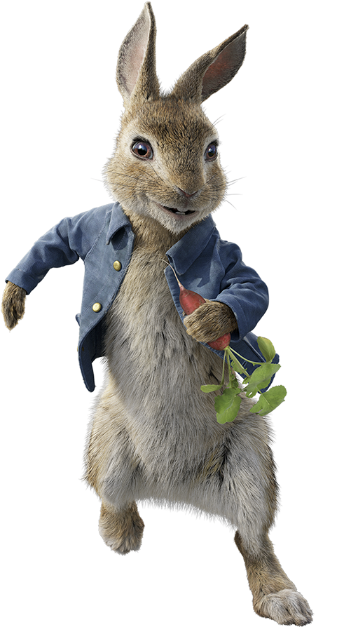 Download Peter Rabbit Png Page - Peter Rabbit Movie Characters - ClipartKey
