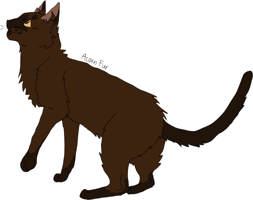 Download Acorn Fur By Glasskats - Acorn Fur Warrior Cats - ClipartKey
