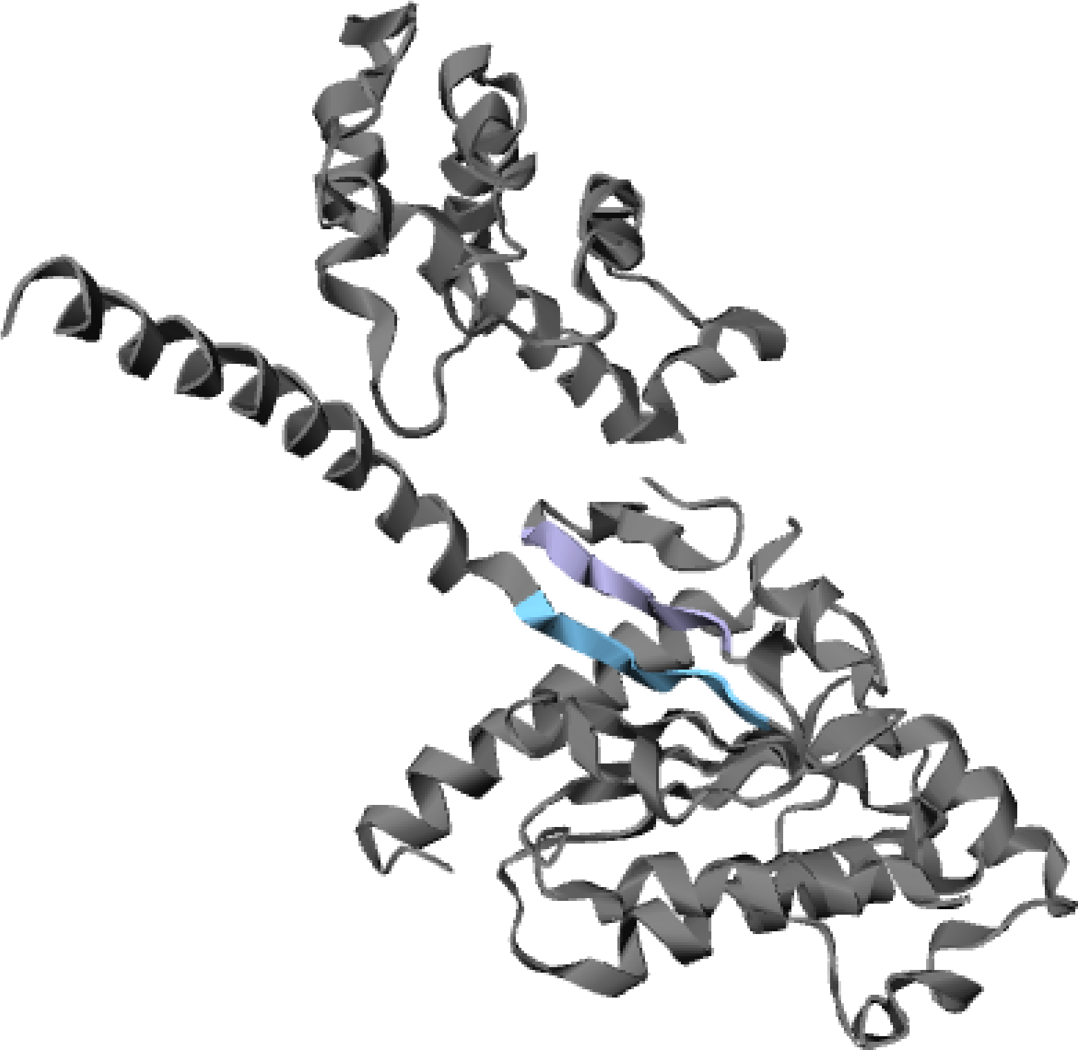 Download Black And White Structure Of Protein Transparent Background ...