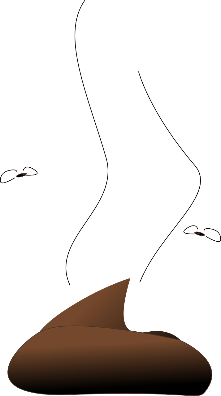 Download Feces Smelling Excrement Free Picture - Faeces Cartoon ...