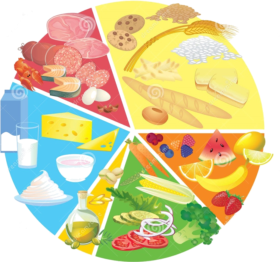 Download Healthy Eating Plate Clipart - Food And Nutrition Clipart ...