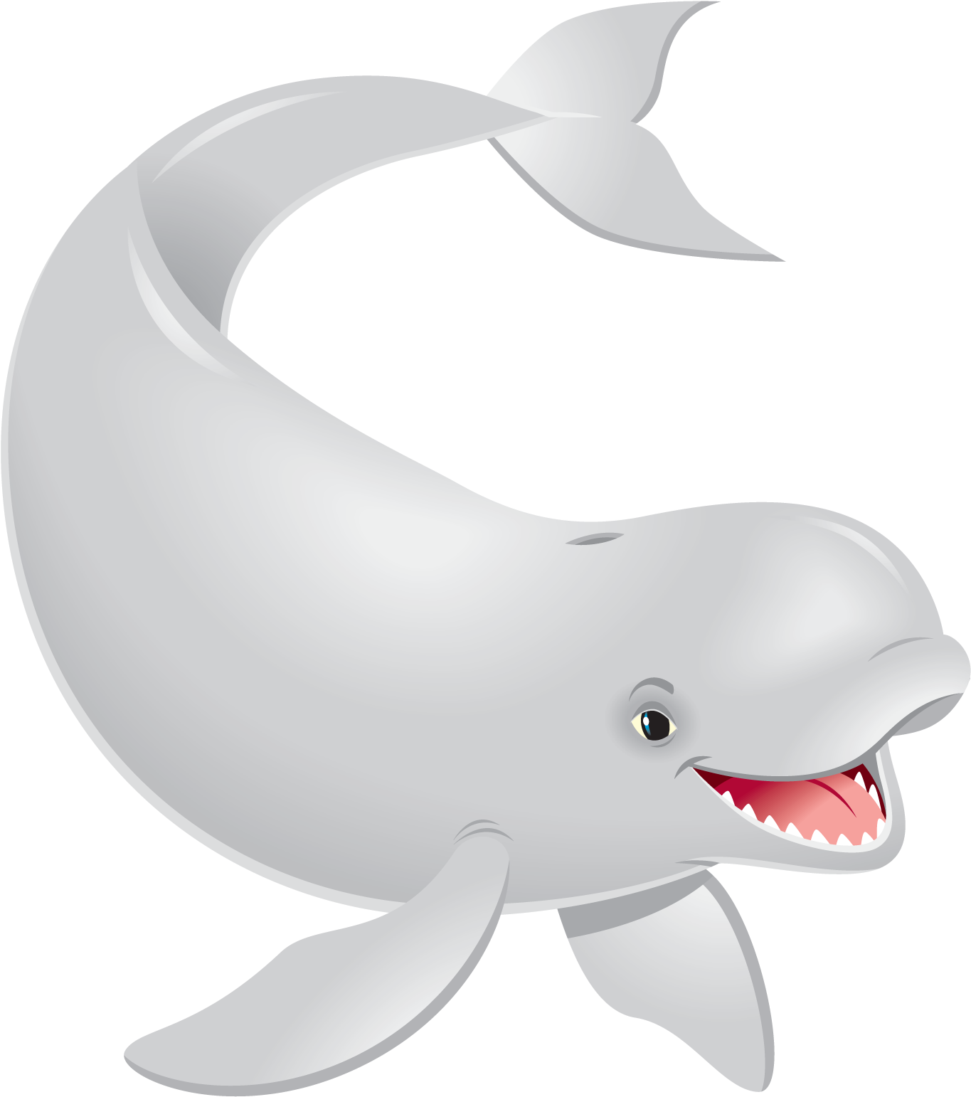 Download Transparent Beluga Whale Png - ClipartKey