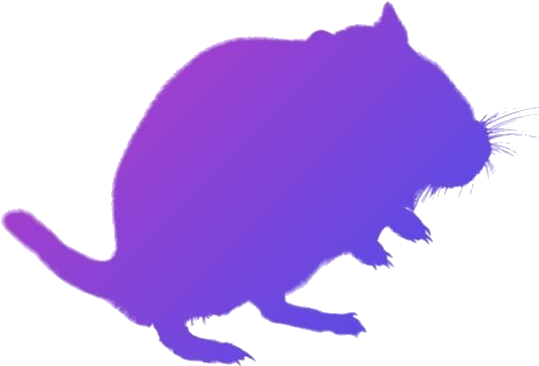 Download Gerbil Png Transparent Images - Illustration - ClipartKey