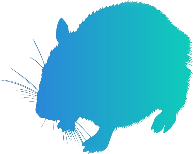Download Transparent Gerbil Png Image - Illustration - ClipartKey