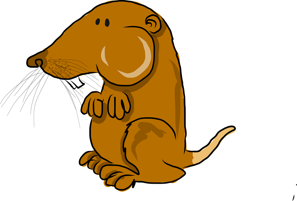 Download Cartoon Gopher Png - ClipartKey
