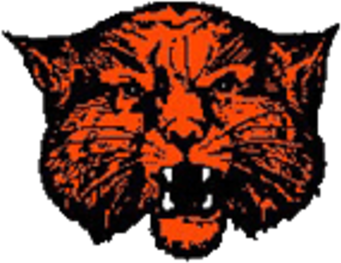 Download Transparent Fort Clipart - Wink Wildcat Mascot - ClipartKey