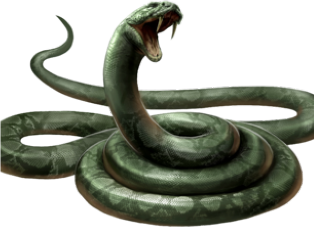Download Voldemort's Snake - ClipartKey
