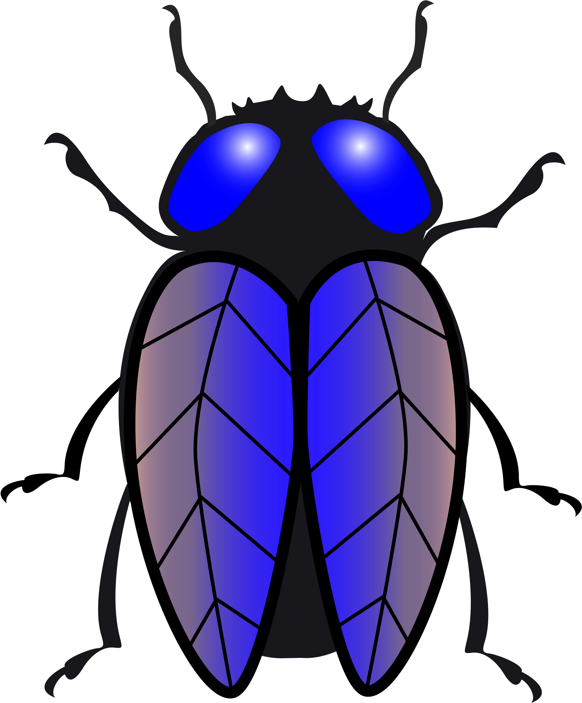Download Transparent Bug Clipart - ClipartKey