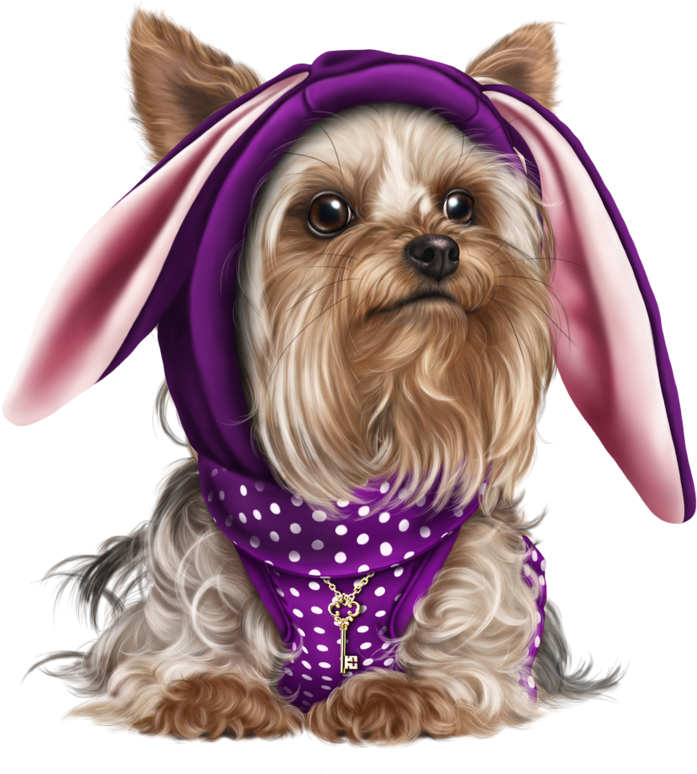 Download Paws Clipart Yorkie - Transparent Yorkshire Terrier Png ...