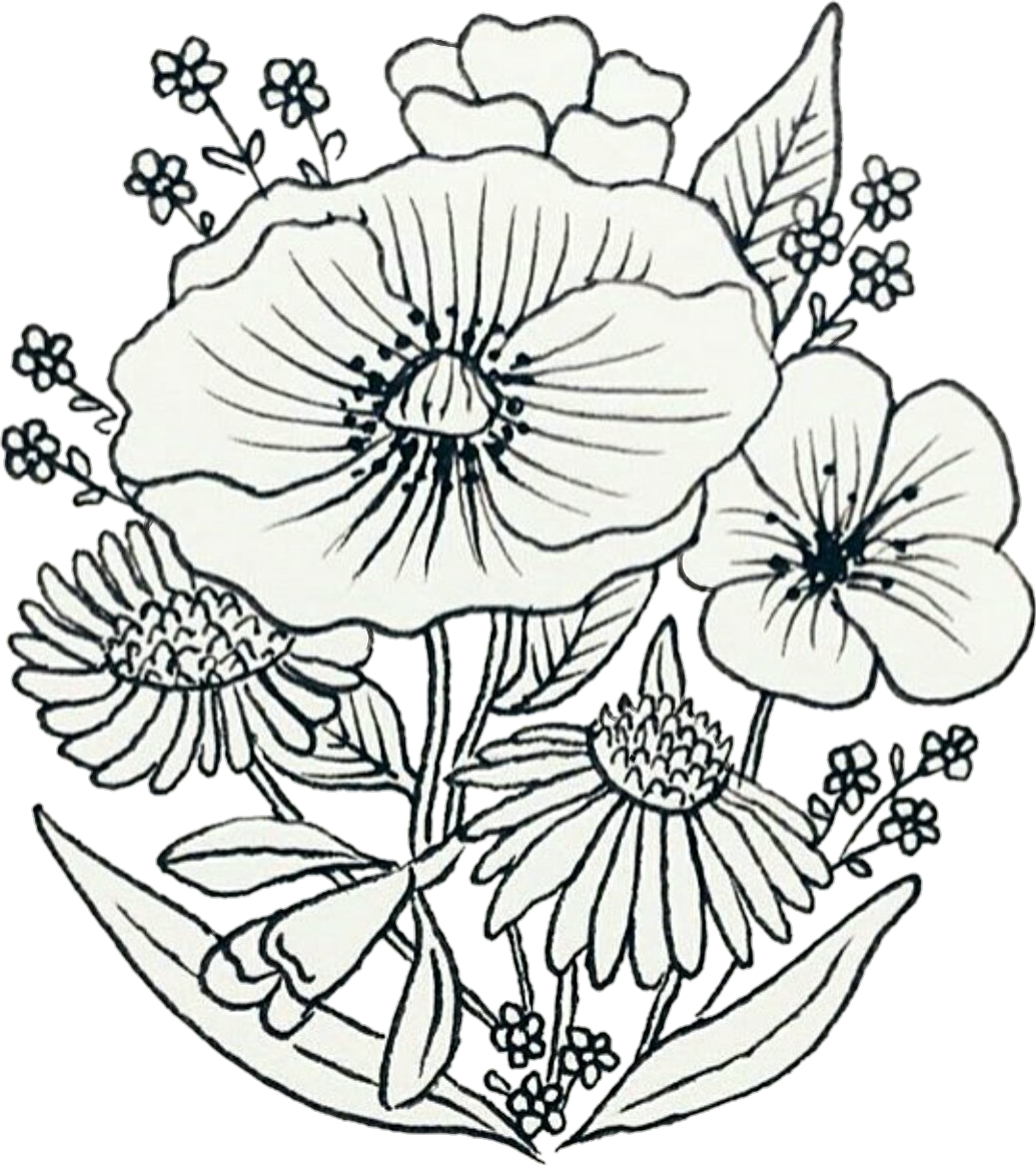 Download Patch Drawing - Flower Patch Drawing - ClipartKey