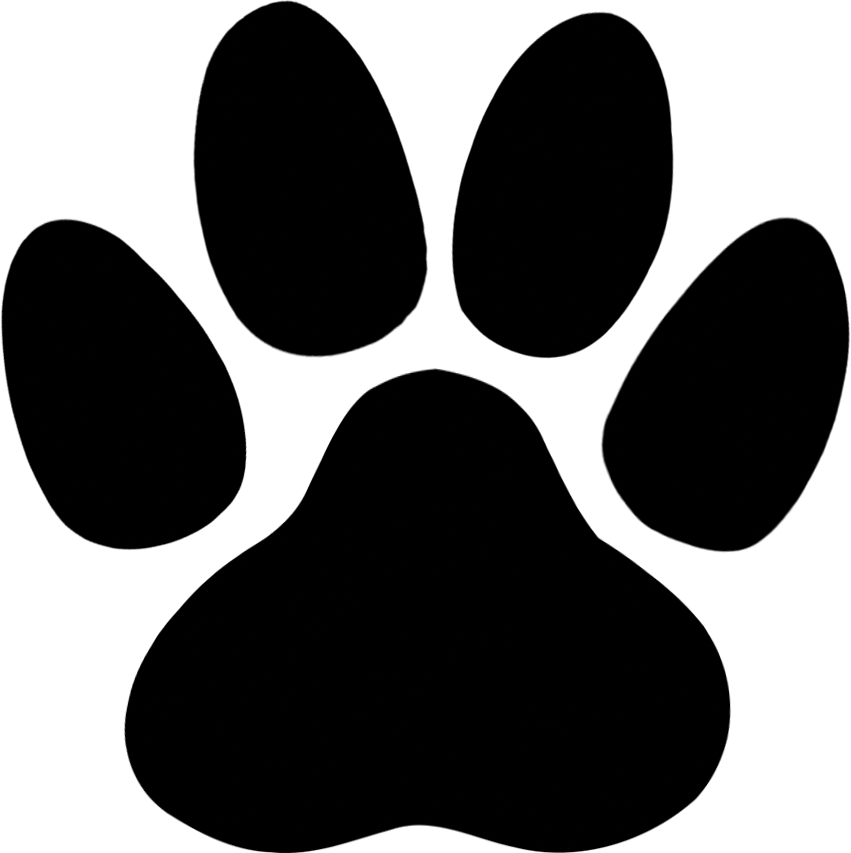 Download Transparent Background Paw Png - ClipartKey