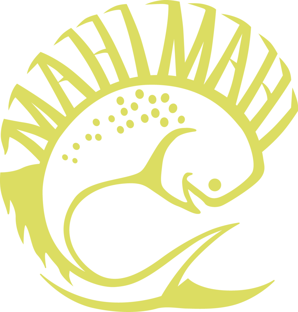 Download Mahi Mahi Clipart - ClipartKey