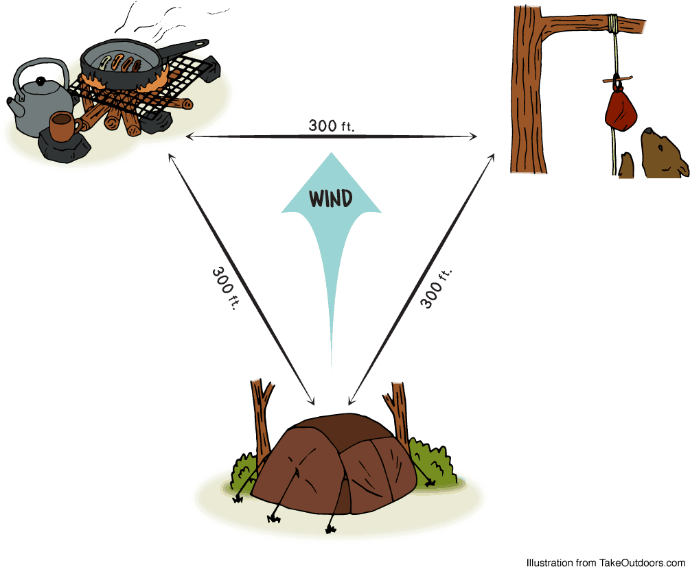 Download Layout Of The Bear-muda Triangle - Tortoise - ClipartKey