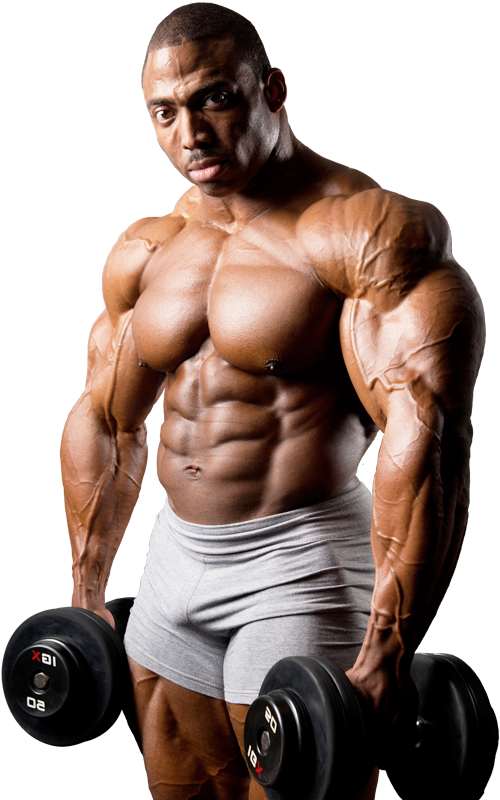 Download Clip Art Bodybuilders Images - Muscle Growth People With ...