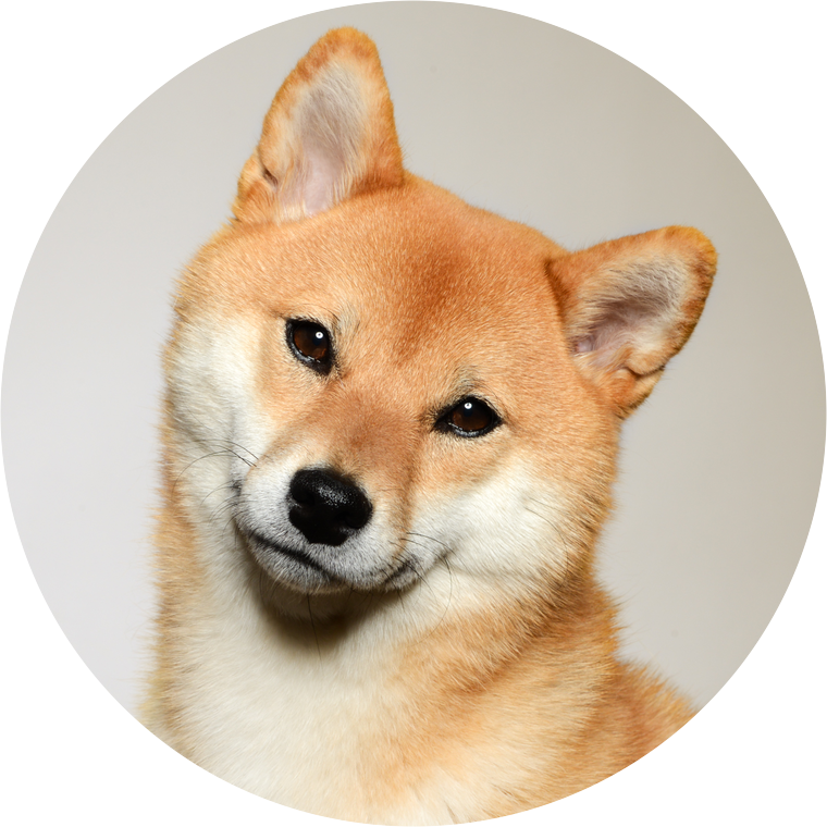 Download Transparent Shiba Inu Clipart - Shiba Inu Transparent Cartoon ...