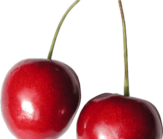 Download Cherry Clipart Shiny - High Resolution Cherry Hd - ClipartKey