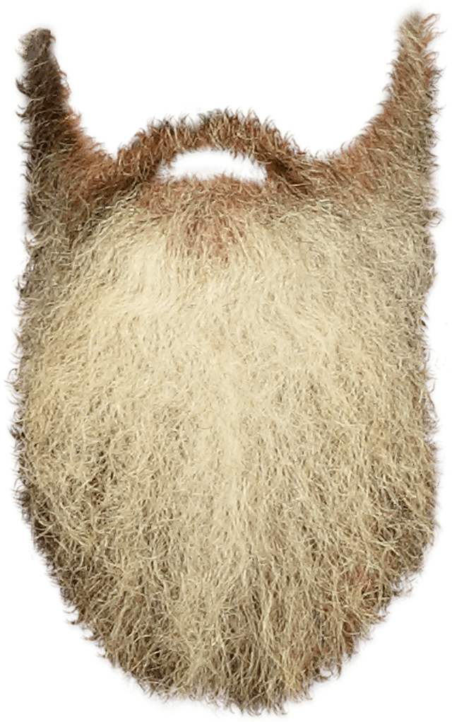 Download Beard Clipart Transparent Background - Long Beard Transparent ...