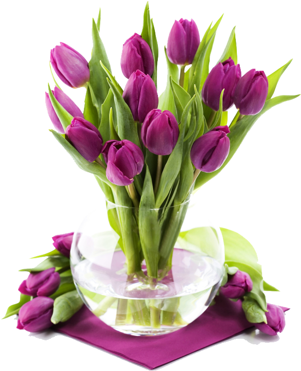 Download Zsófia Névnap - ClipartKey