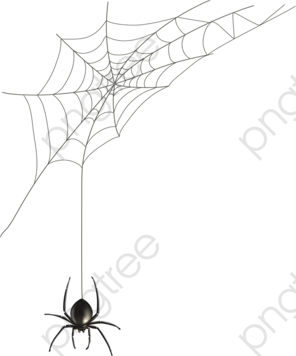 Download Transparent Spider Web Clip Art - White Spider Web Background ...