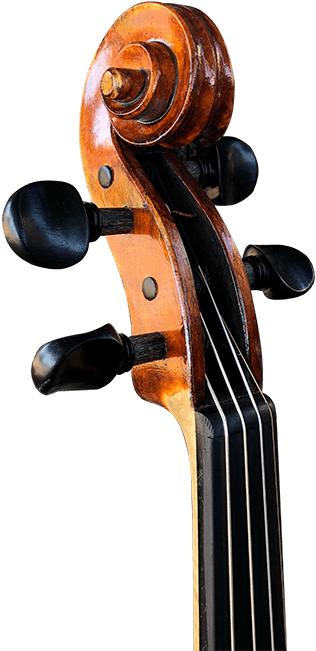 Download Violin-handle - Viola - ClipartKey