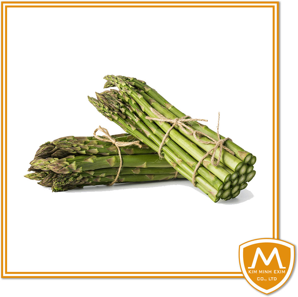 Download Transparent Asparagus Png - Asparagus - ClipartKey