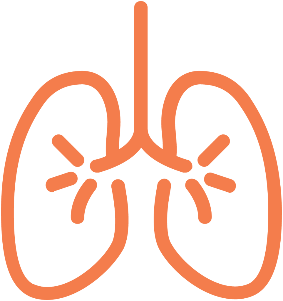 Download Lung Ecm Cell Culture Substrates - Icons Lungs - ClipartKey