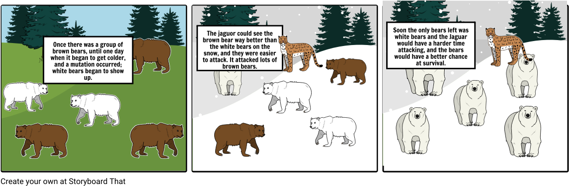 Download Brown Bear Natural Selection - ClipartKey
