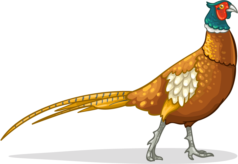 Download Pheasant Icon Clipart , Png Download - Cartoon Pheasant ...