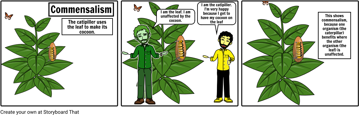 Download Clip Art Example Storyboard By S - Commensalism Examples ...