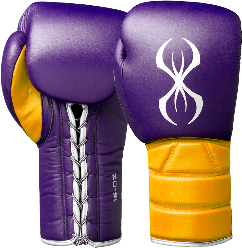 Download Transparent Boxing Ring Ropes Png - Sting Boxing Gloves Lace ...