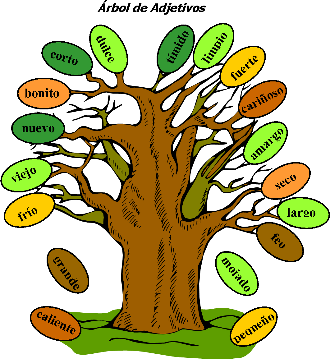 Download Rbol De Adjetivos - Model Of Adjective Tree - ClipartKey