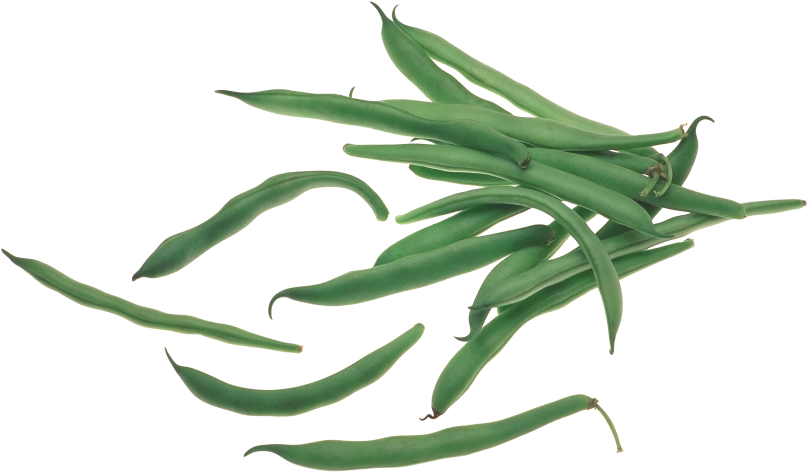 Download Transparent Bean Png - Green Bean - ClipartKey