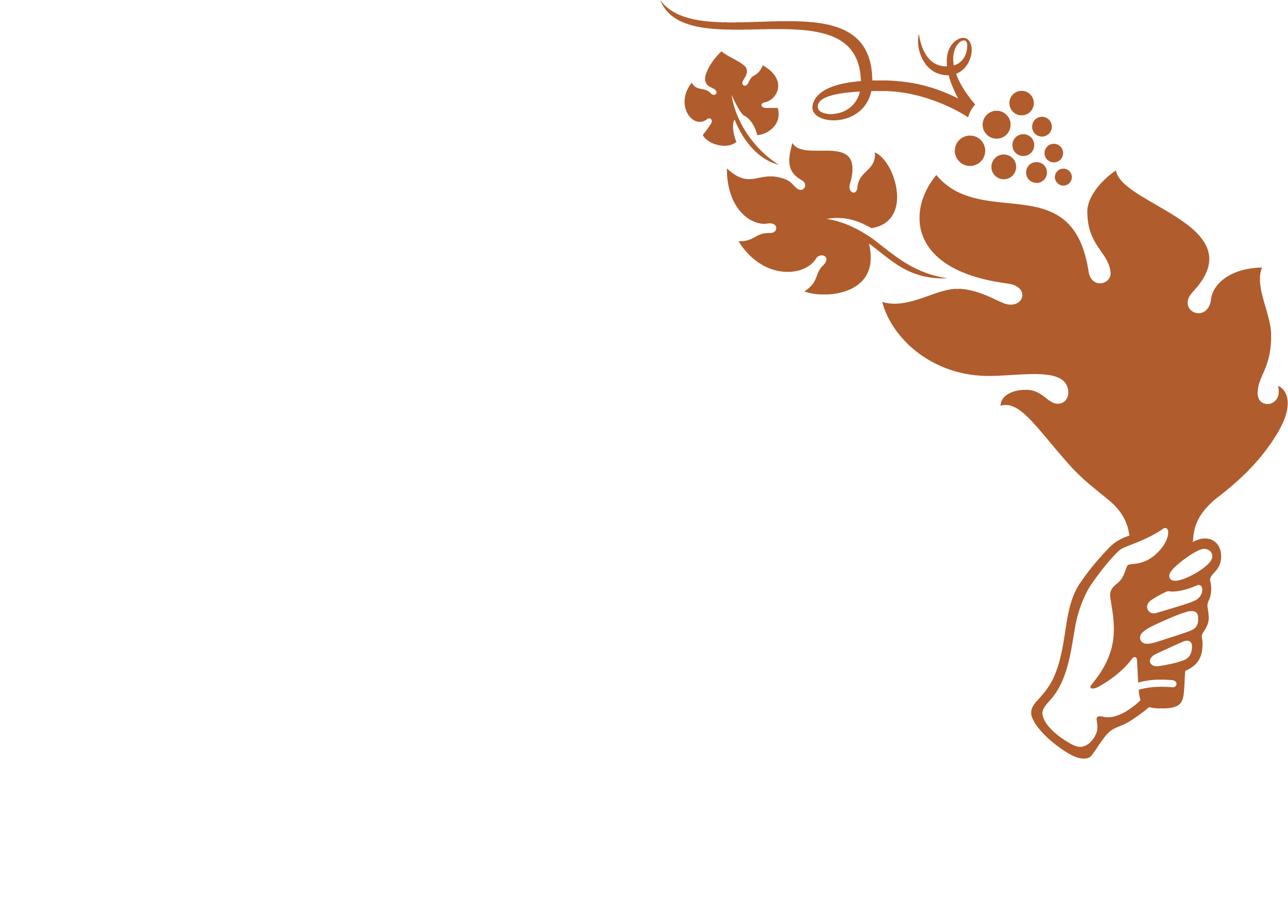 Download Sogrape Original Legacy Wines - ClipartKey