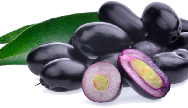 Download Jamun Seed - ClipartKey