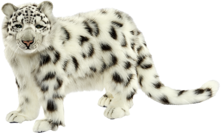 Download Transparent Mike Wazowski Png - Snow Leopard Transparent ...