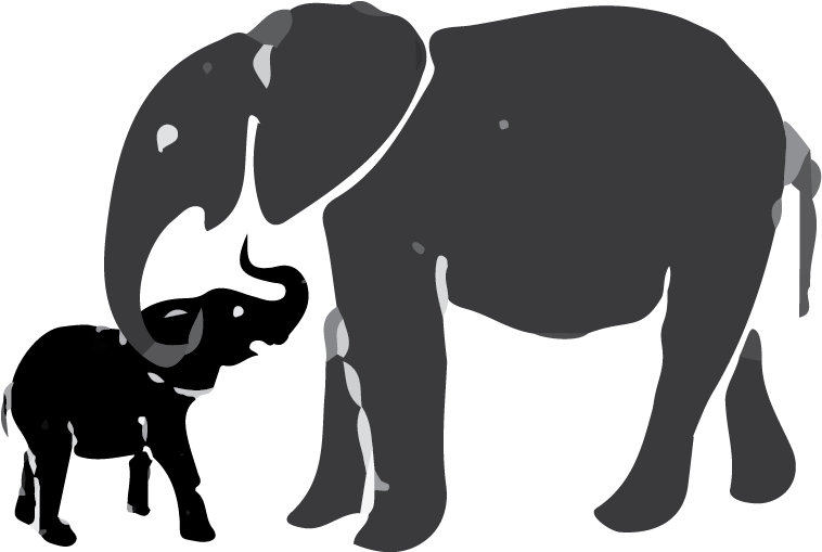 Download Indian Elephant - ClipartKey