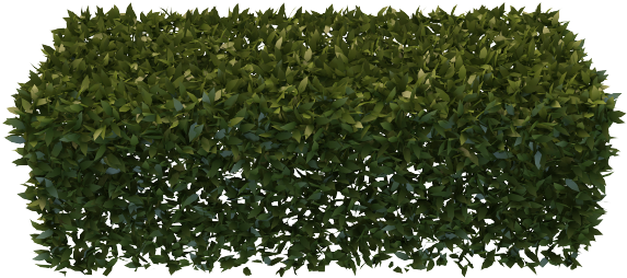 Download Hedges Png - ClipartKey