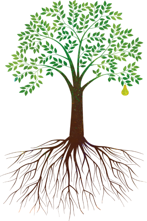 Download Transparent Background Tree With Roots Png - ClipartKey