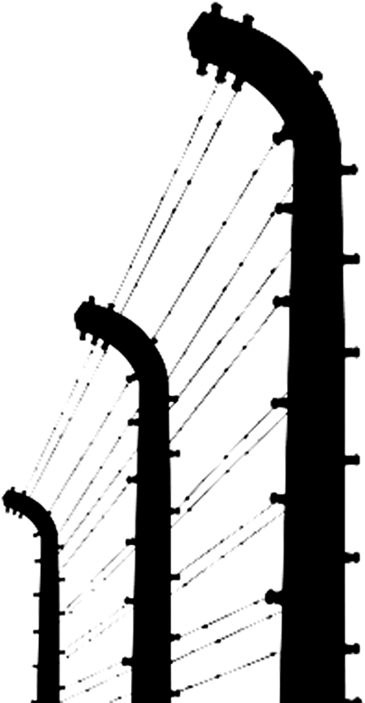 Download Overhead Power Line Clipart , Png Download - Overhead Power ...